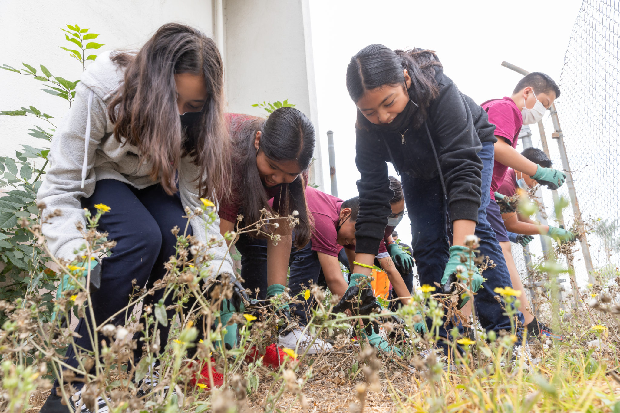 Home | Character Playbook